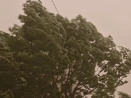 Sriganganagar Weather Change: Heavy Winds, Rain Likely After Nau-Tapa