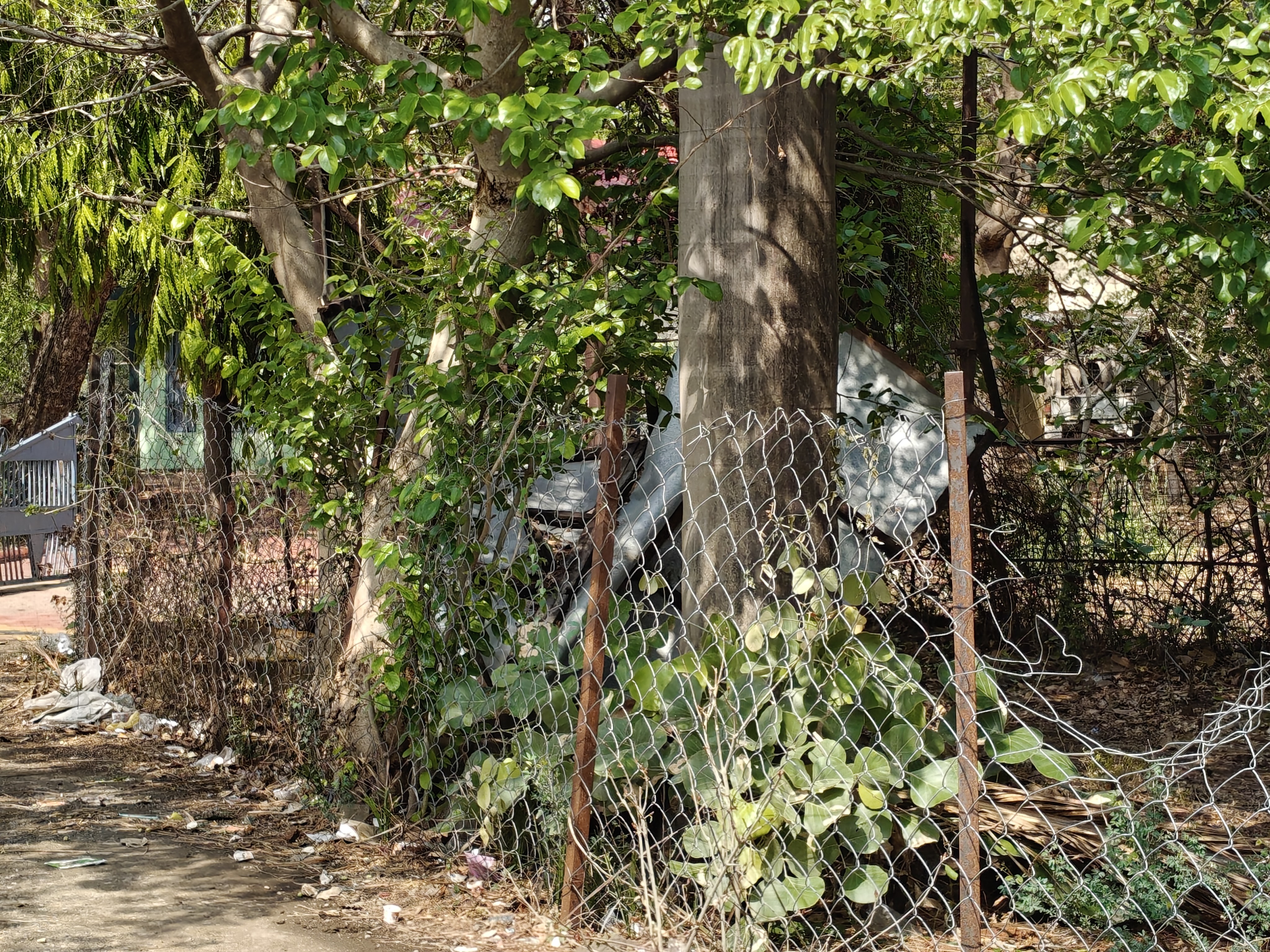 Ashta Weather Update: Heavy Winds, Rain Disrupt Life, Temperature Drops ...