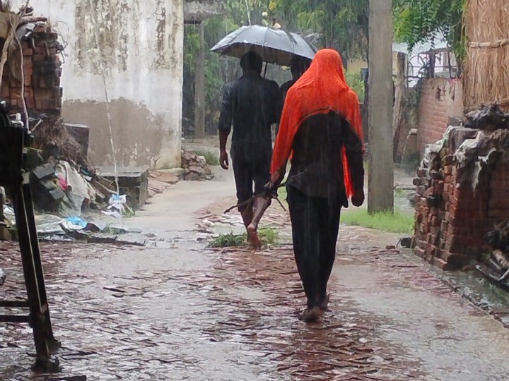 Fatehpur Mentha Crop Damage Fear | Farmers Worried After Rain