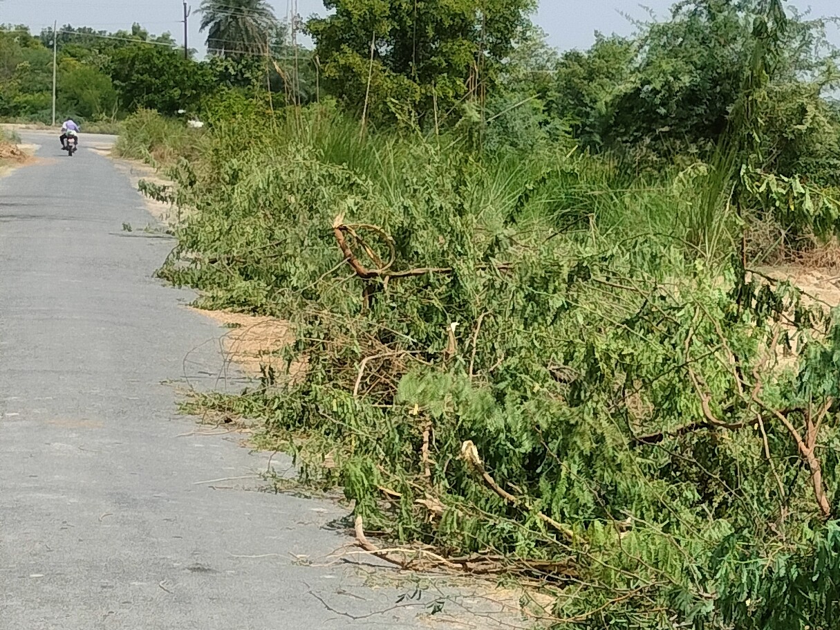 Kanauj Farmers Barbed Wire Road Danger | Commuters Face Mishap Fear