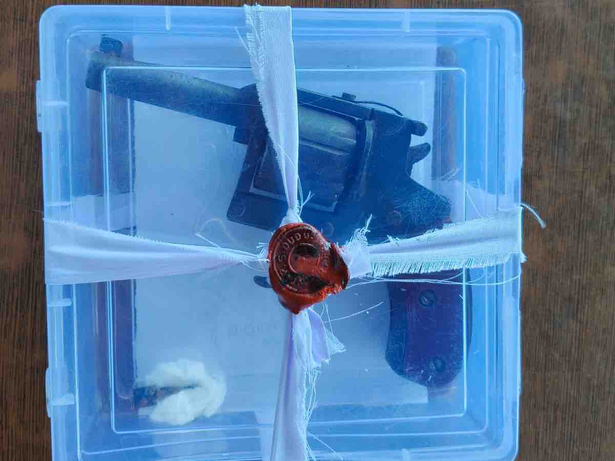 Dudu Bagot Road Arms Act Case: Revolver, Cartridge Seized; Youth Arrested