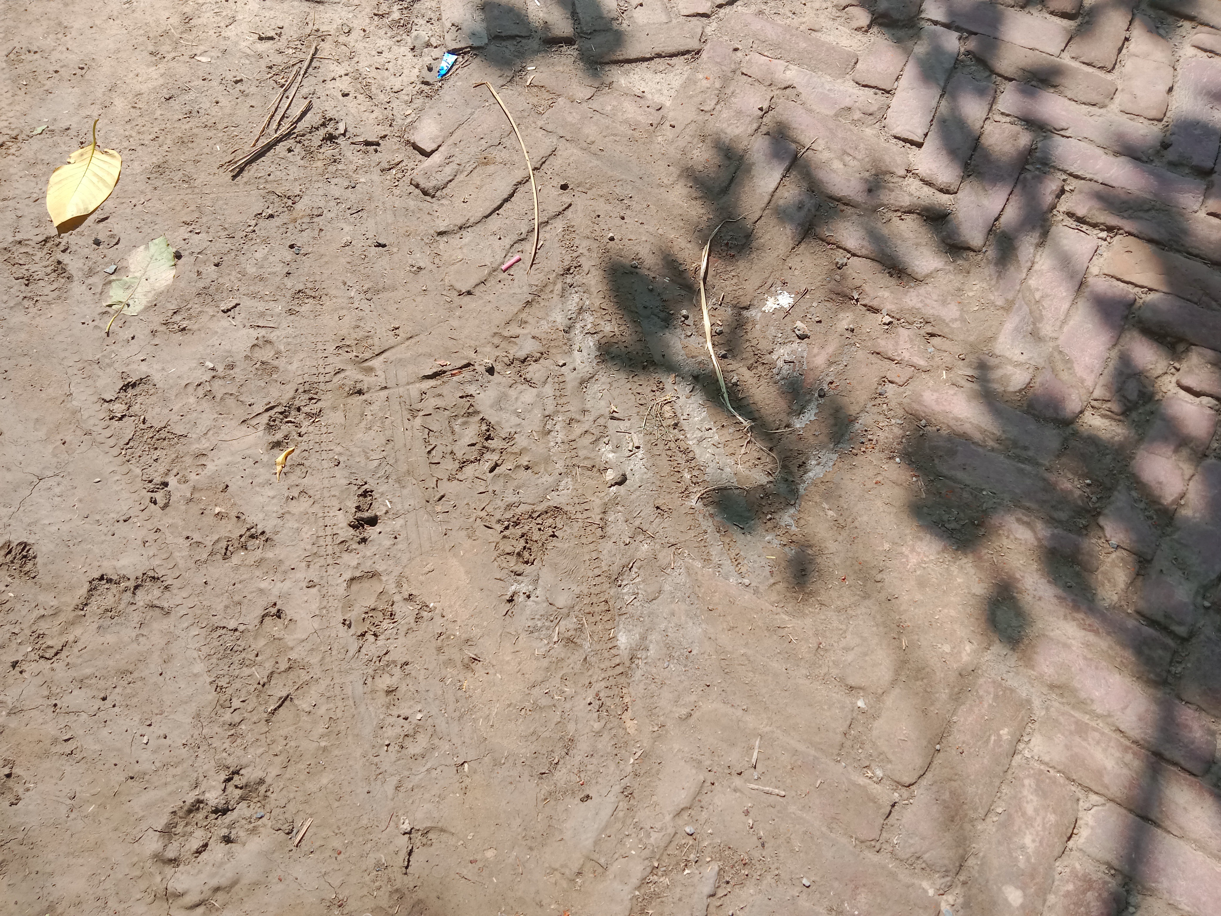 Bhadohi Villagers Repair Road | Demand Repair