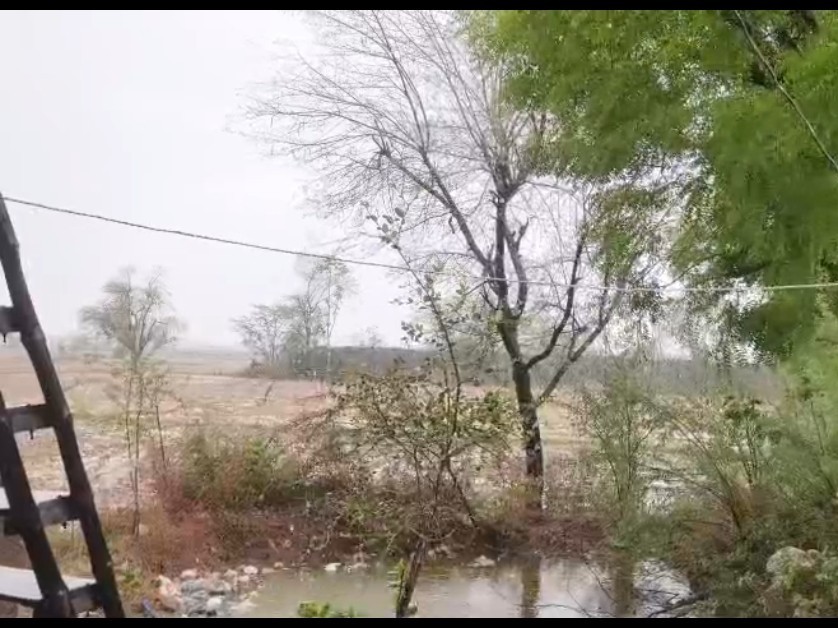 Deeg Rain Relief | Farmers Benefit From Temperature Drop