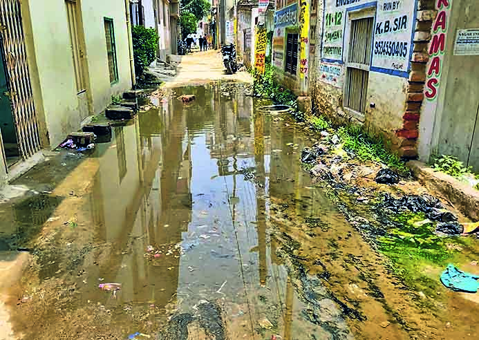 Dirty water remains on the road of Ward 14 throughout the year, causing ...