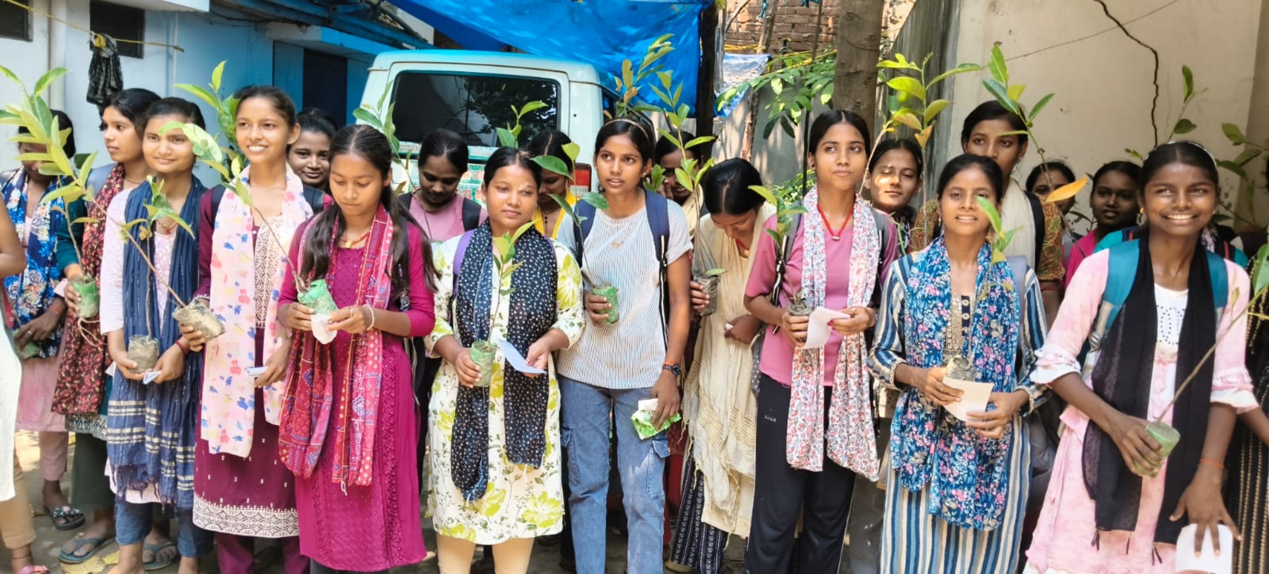 Distribution of 410 plants among children