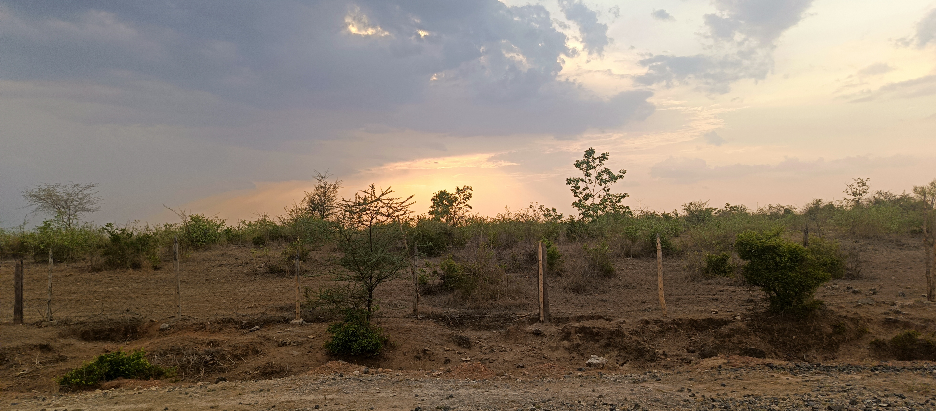 Humidity increased in the atmosphere after light drizzle