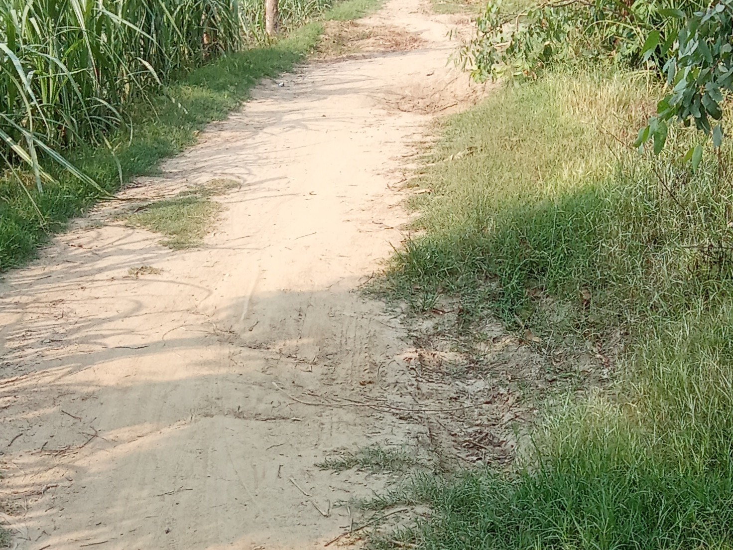 Pokharia Village Road Repair Demand | Farmers Agitation | Lakhimpur ...