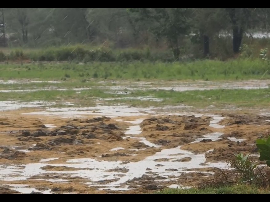 Deeg Rain Relief | Farmers Benefit From Temperature Drop