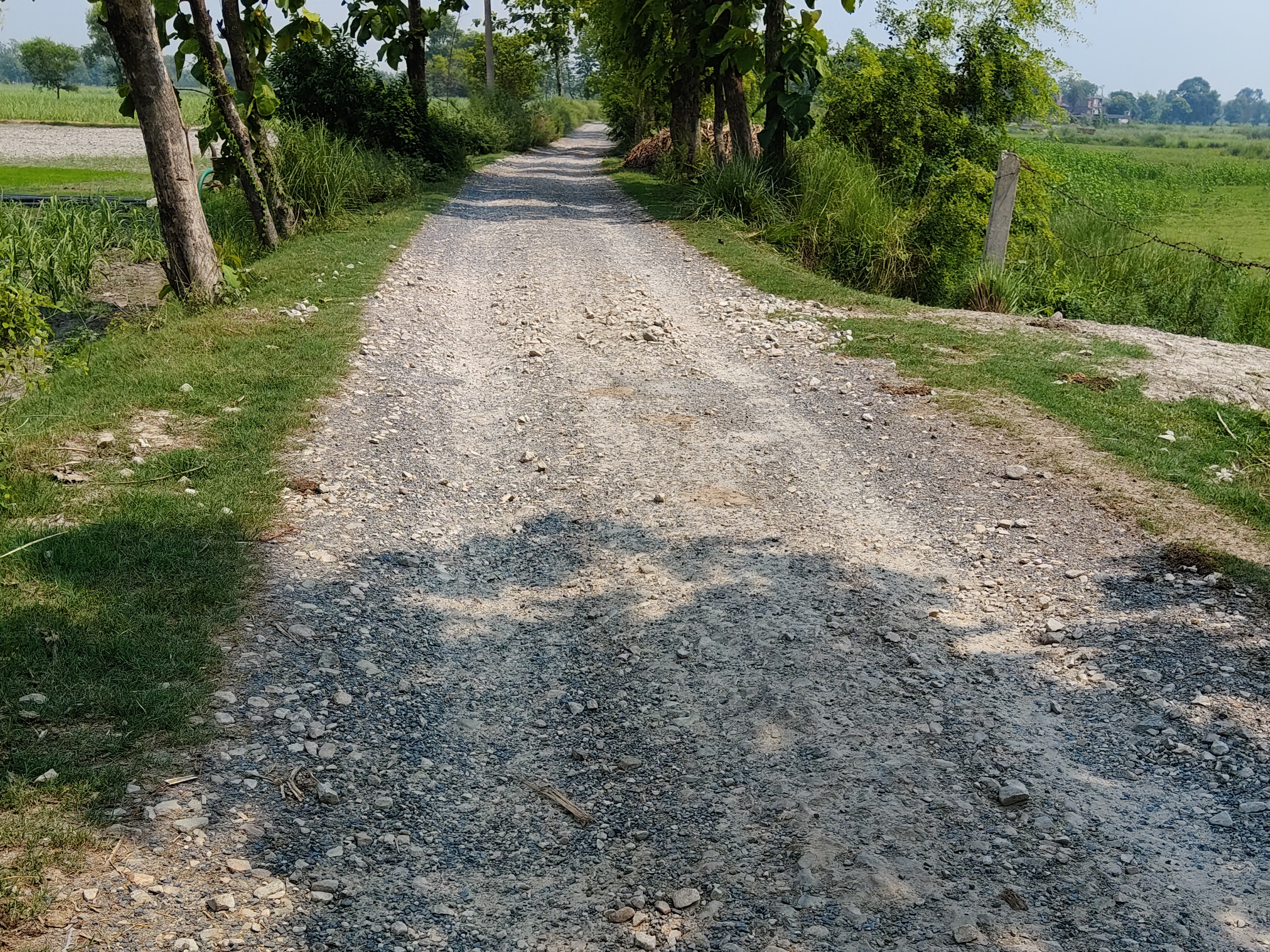 Nichalol Road Woes | Badhra Charghaha Villagers Struggle