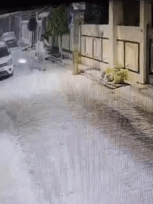 Kanpur Vikram Theft Caught on CCTV | Kalyanpur Police Investigate