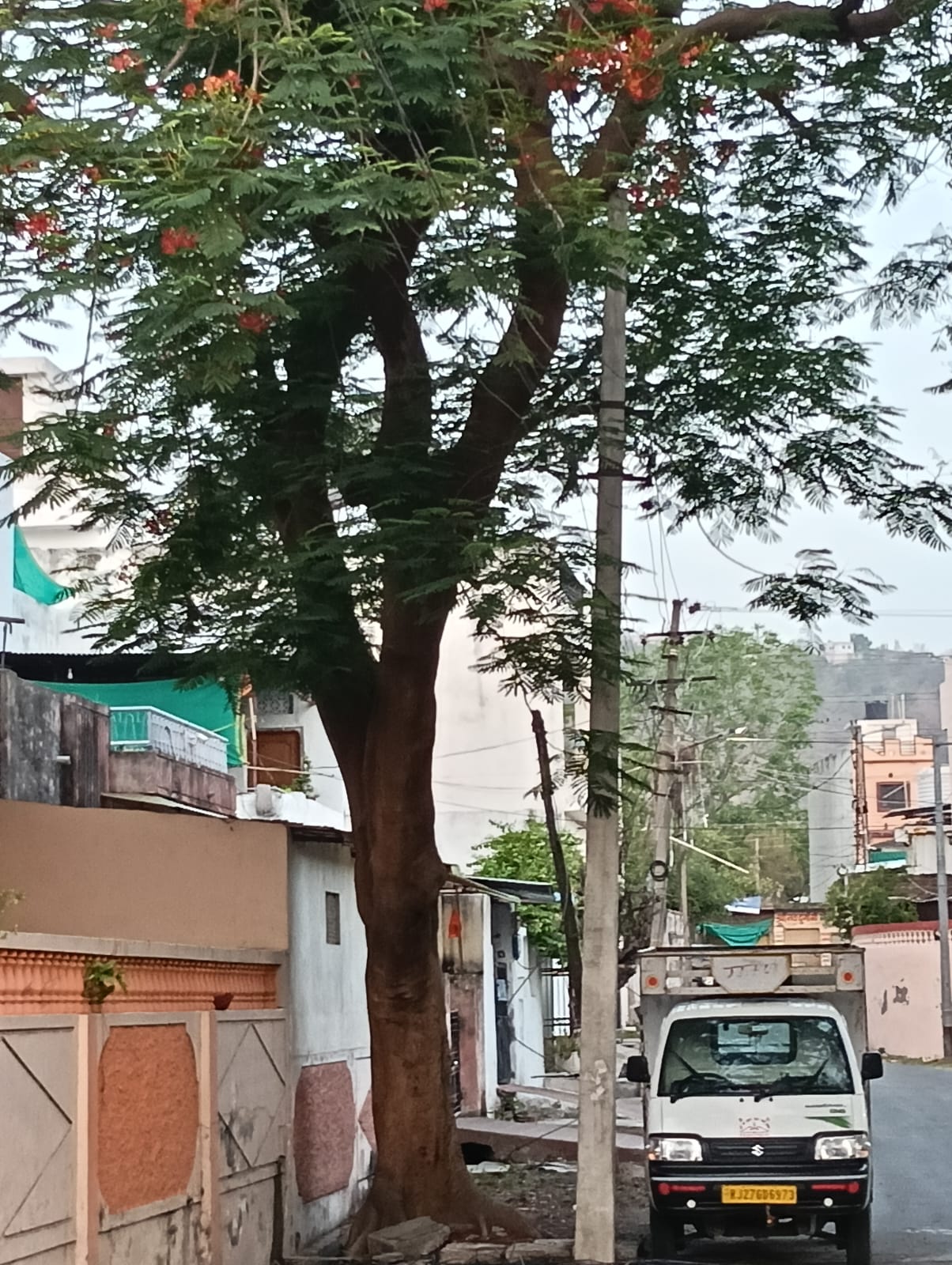 Trees and power lines in the central area pose a risk of accidents.