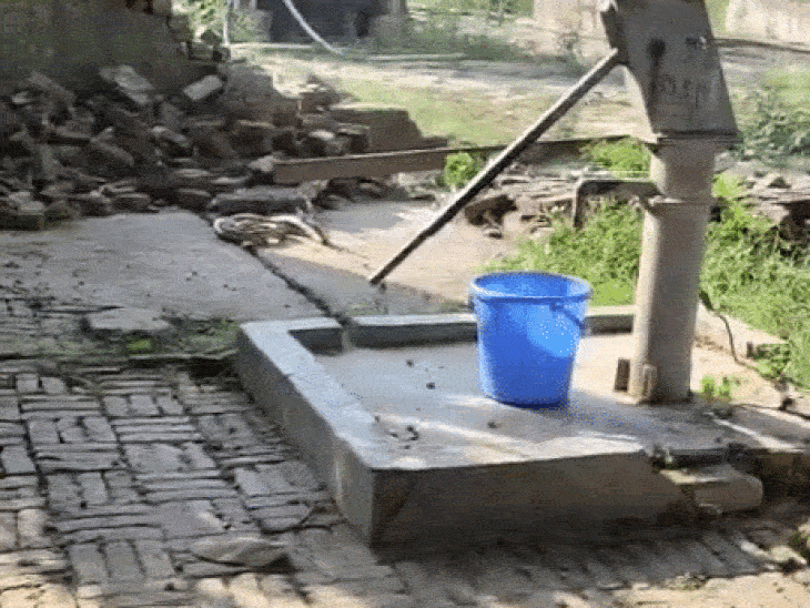 Bulandshahr Jirouli Power Substation Snake Entry | Employees Scared