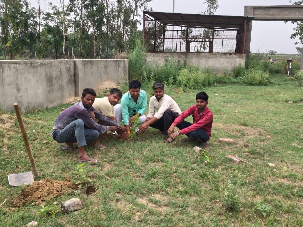Aviral Sanatan Seva Foundation Tree Plantation | Gota Environment ...