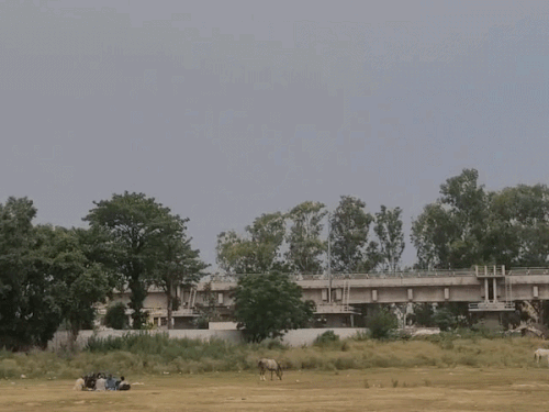 Haryana Weather Alert: Temp Drops 3.1°C; 7 Districts Face High Winds & Rain