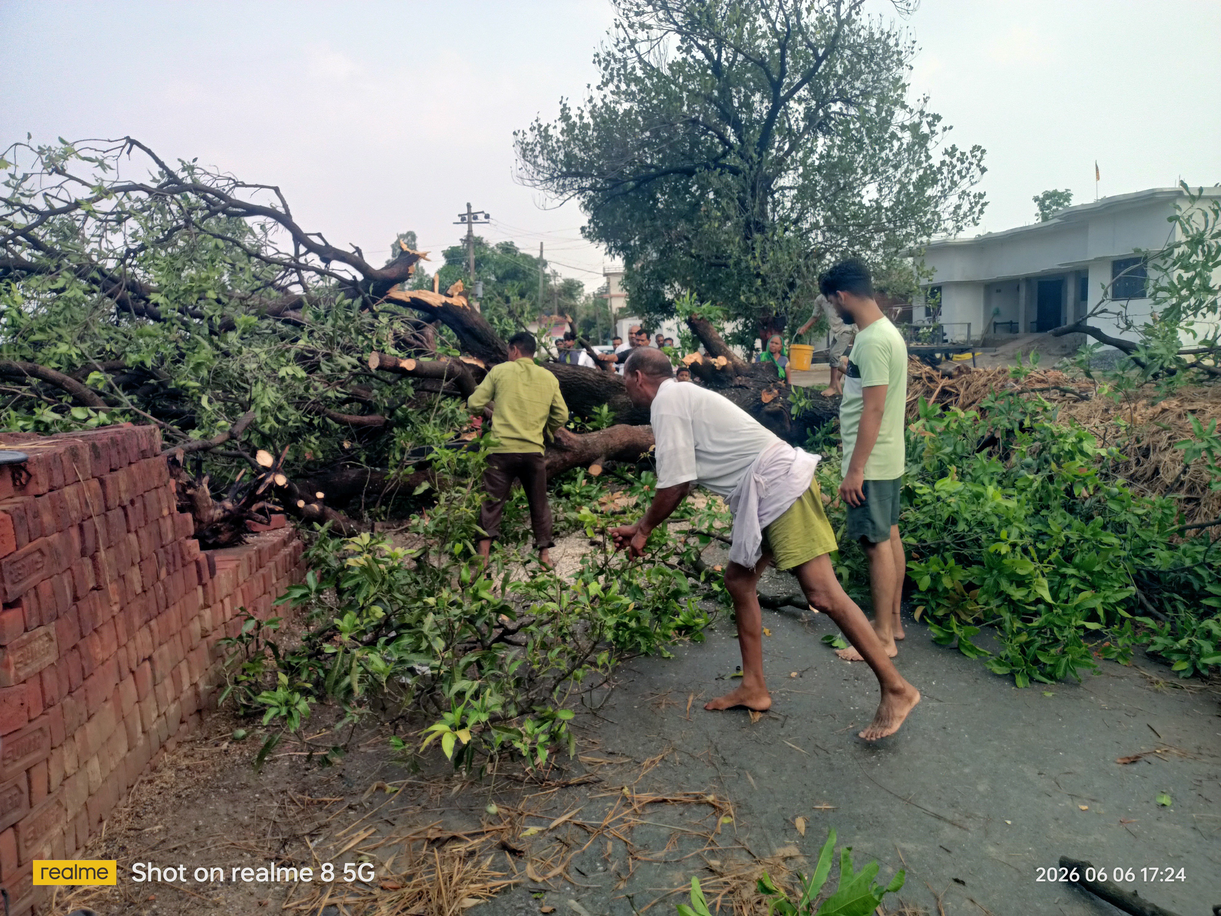 Storm Damage: Trees Down, Poles Toppled; Roads Blocked, Roofs Blown