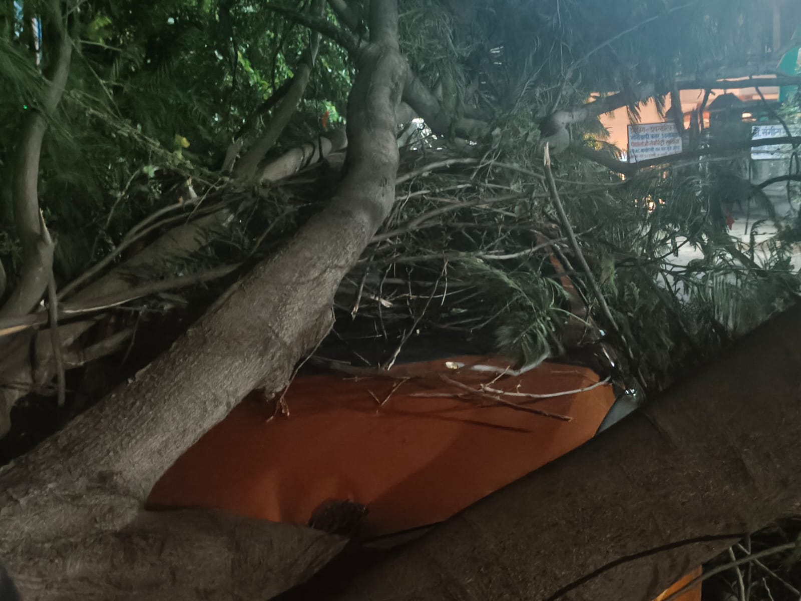 Weather turns pleasant after storm, car damaged due to falling tree