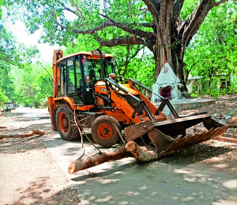The tree that fell on the road was removed after 18 days.