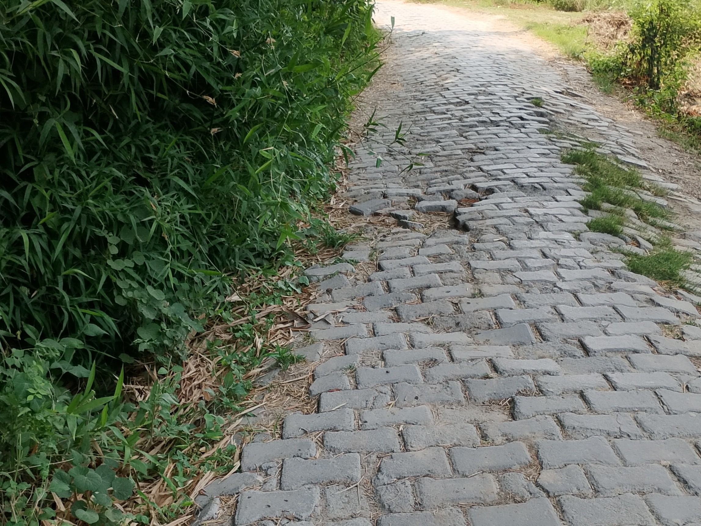 Ram Van Gaman Route Blocked | Dugoli Contact Road Hinders Traffic