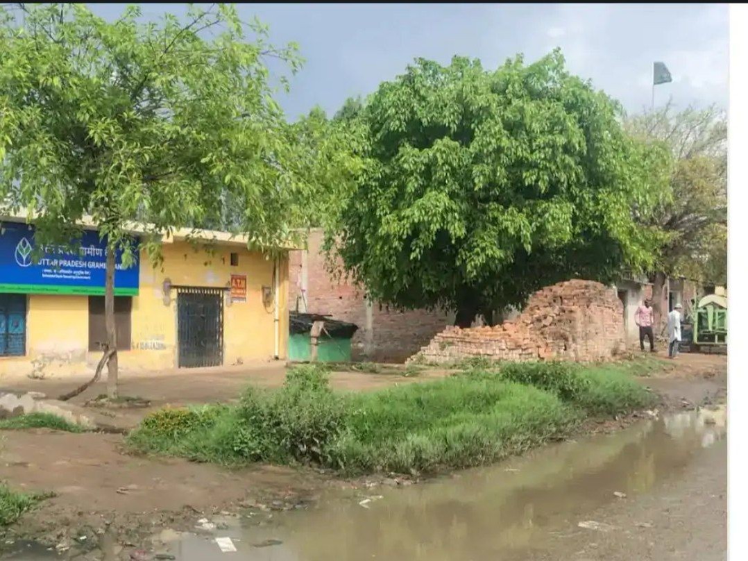 Bareilly Nagla Village Bank Road Waterlogging & Hygiene Issues