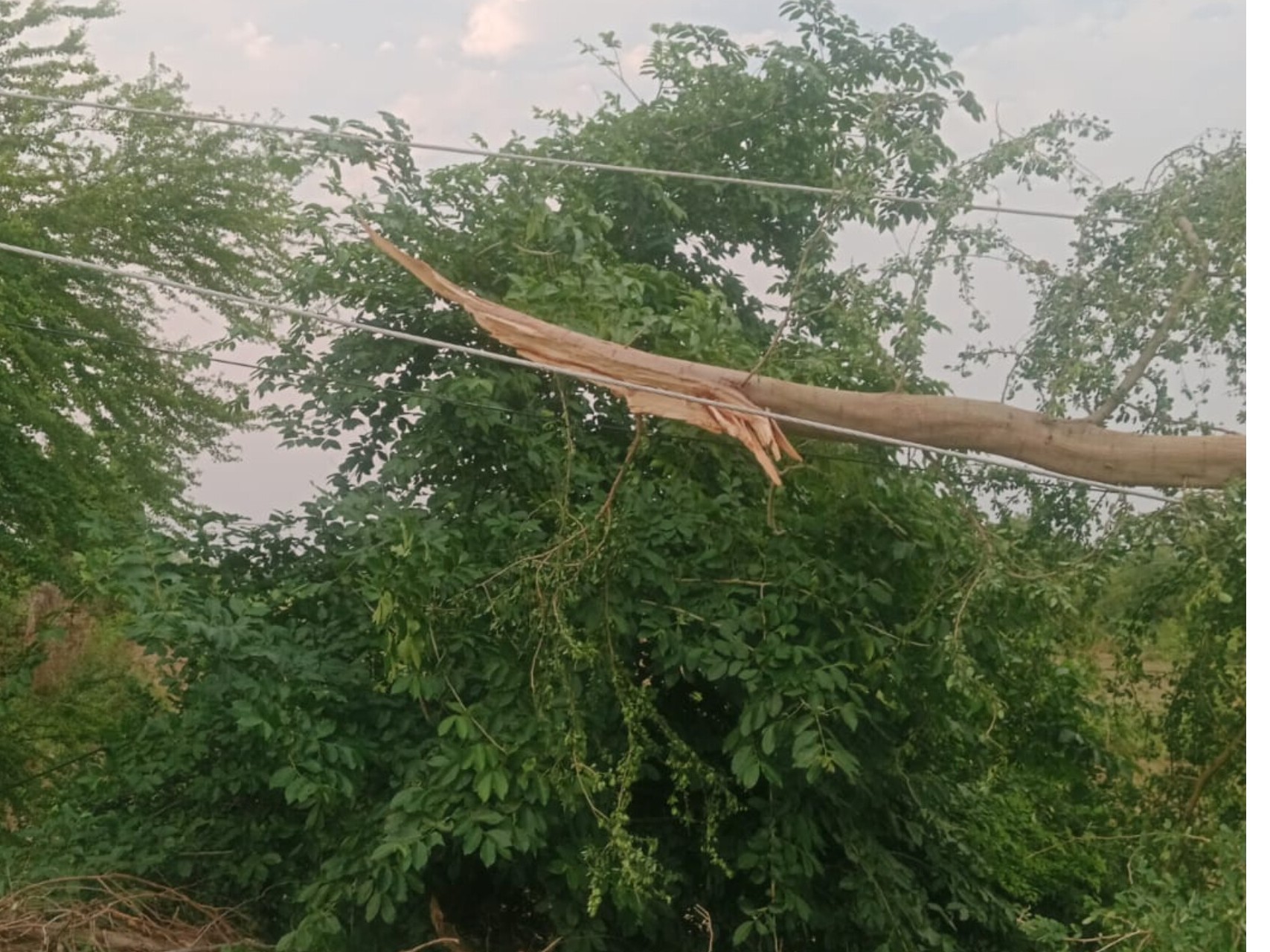 Belthara Road Storm: Power Outage, Water Tanks Fall | Supply Restored