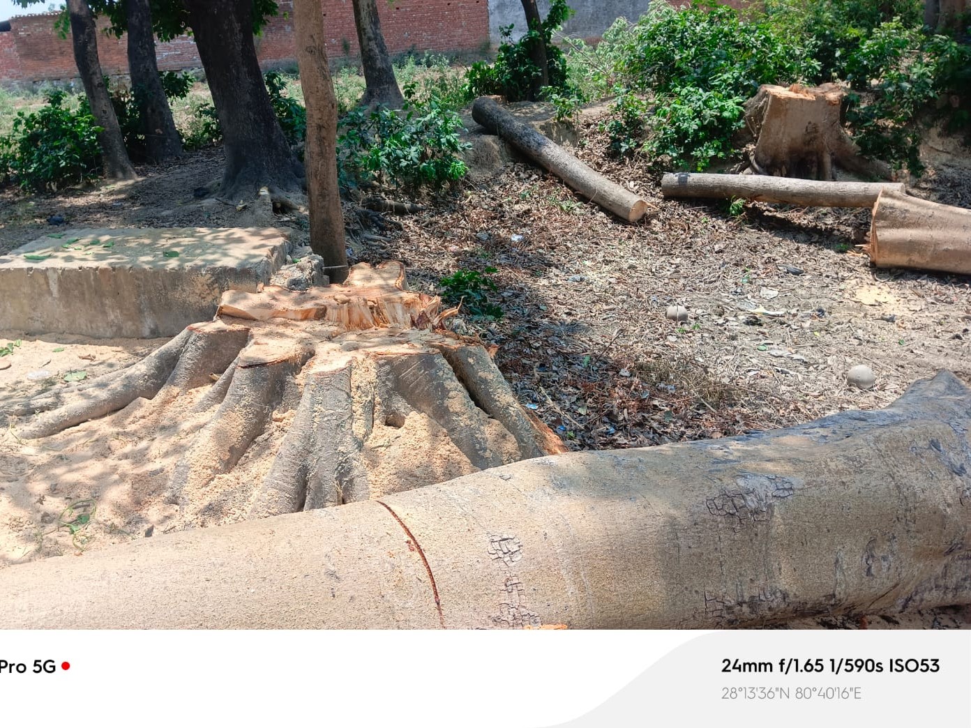 Dariyabad UP Tree Cutting Permission Sparks Villager Anger
