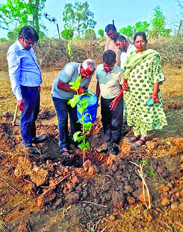 Intech will plant 1000 trees on 80 bighas of college land.