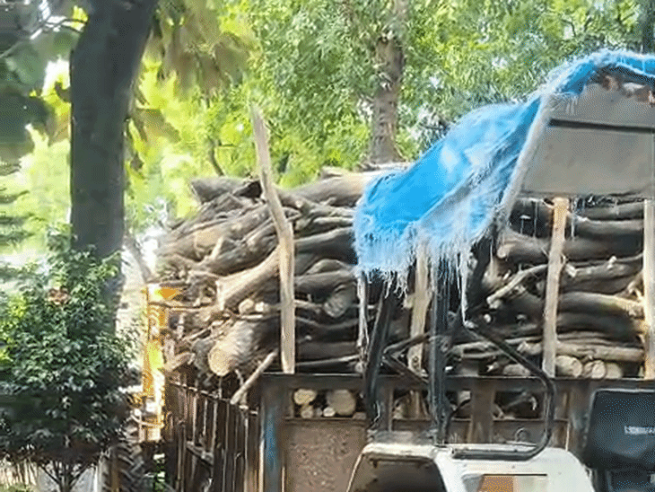 Deva Forest Team Attacked | Illegal Logging Stone Pelting Video Viral