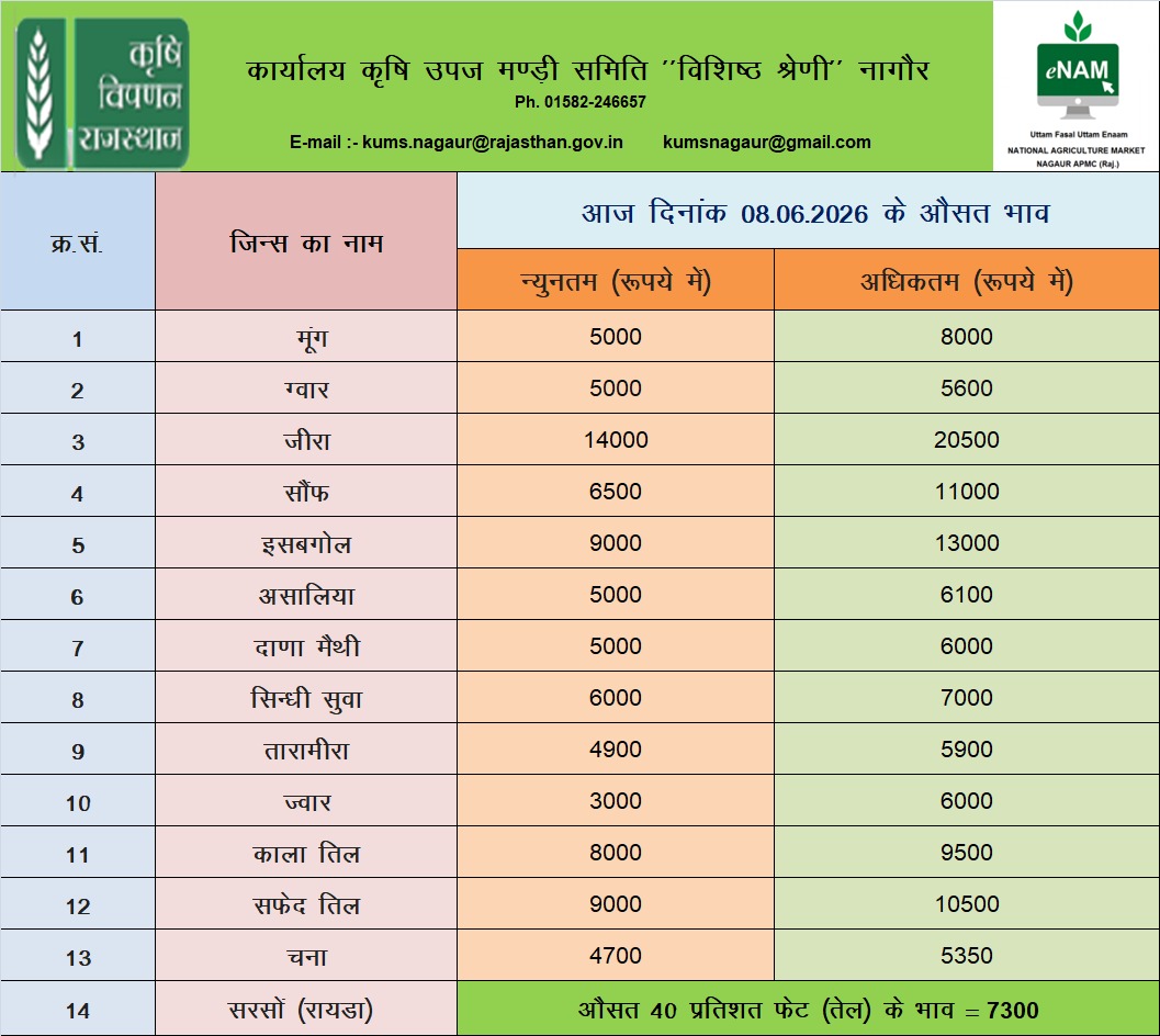 Nagaur Mandi Rates: Mustard, Gram Rise; Fennel, Cumin Fall
