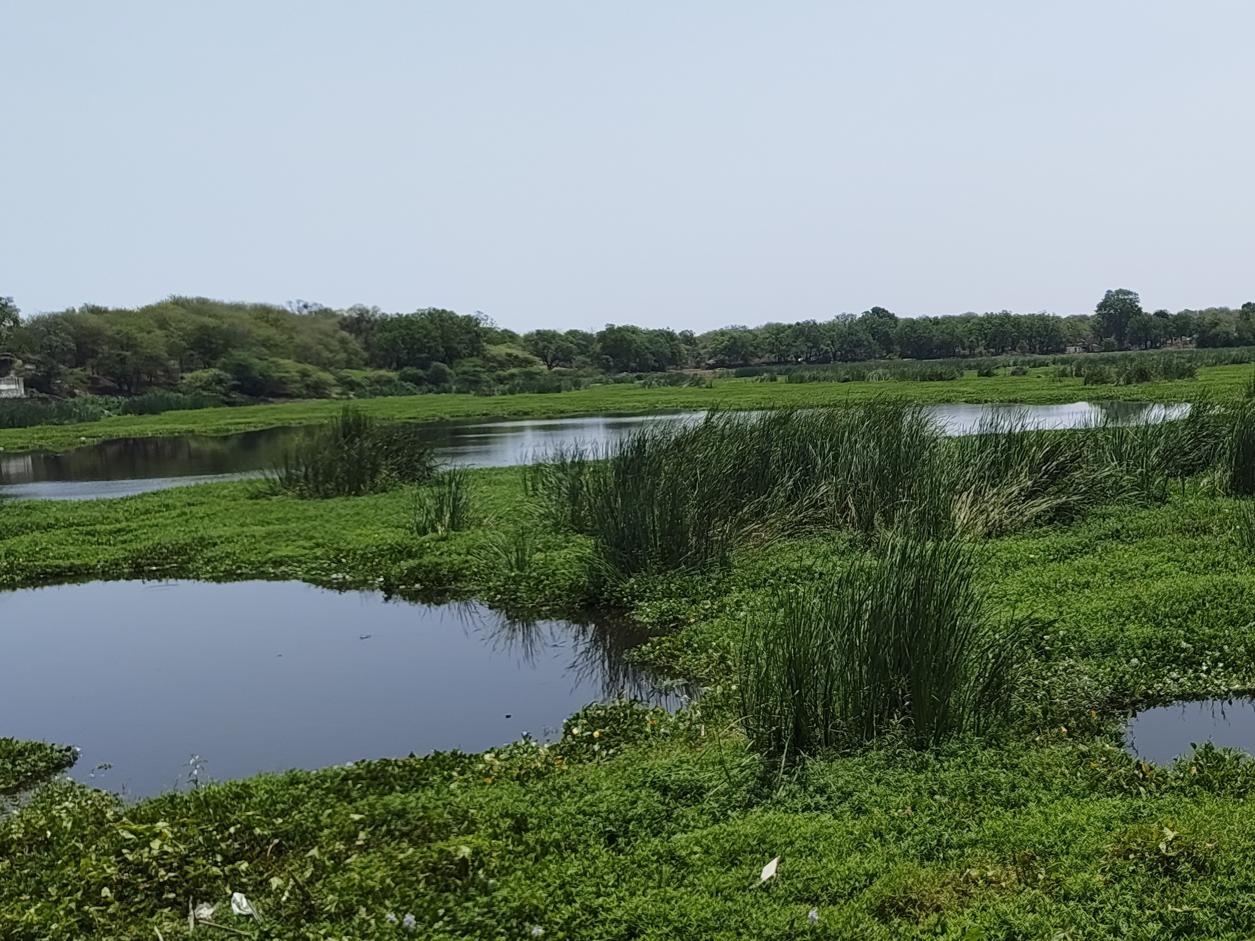 Babina Moti Talab Beautification Starts Tomorrow | Historical Pond ...