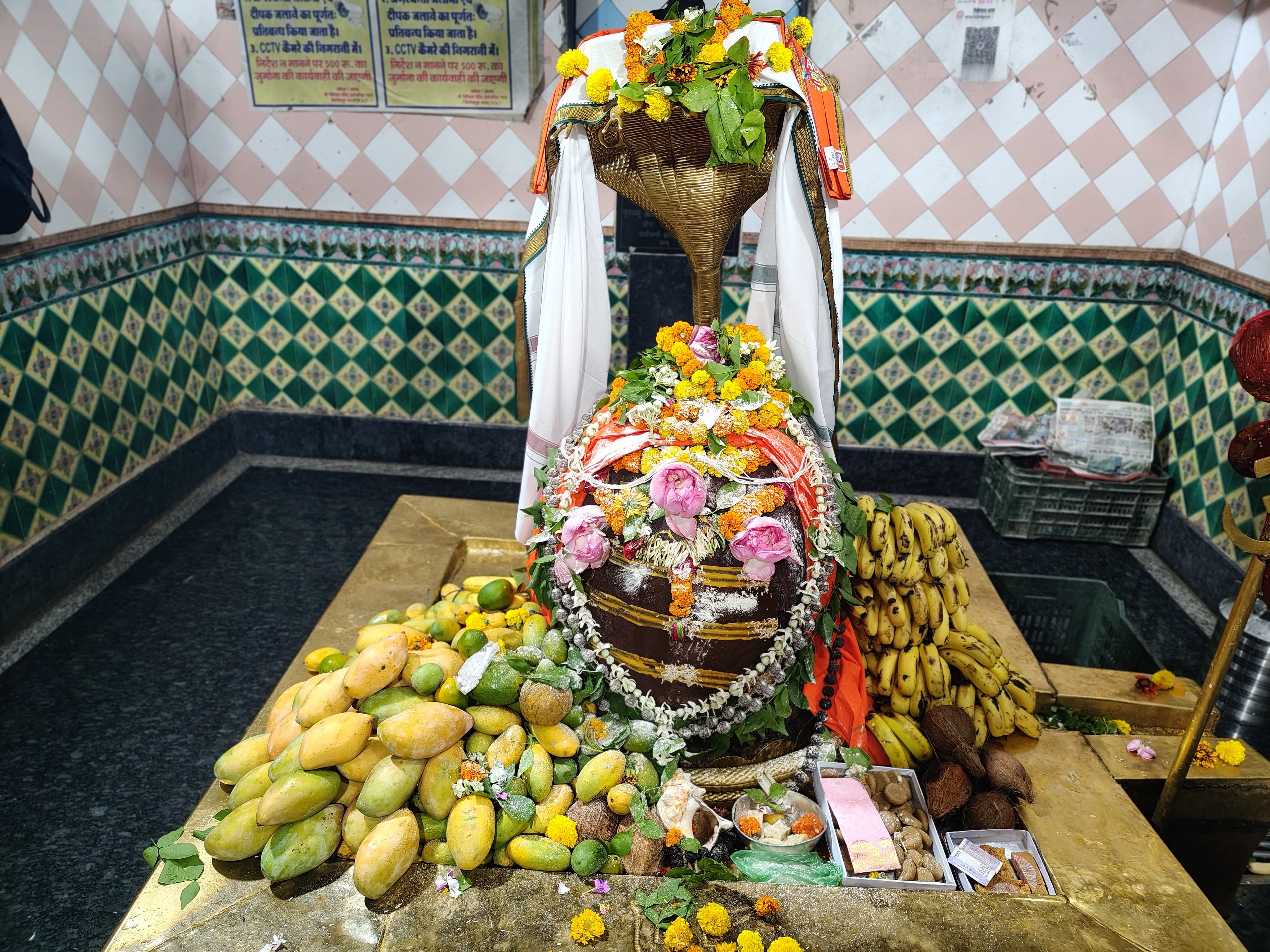 Gavinath Dham Satna Buzzes with Har-Har Mahadev Chants | Thousands Darshan