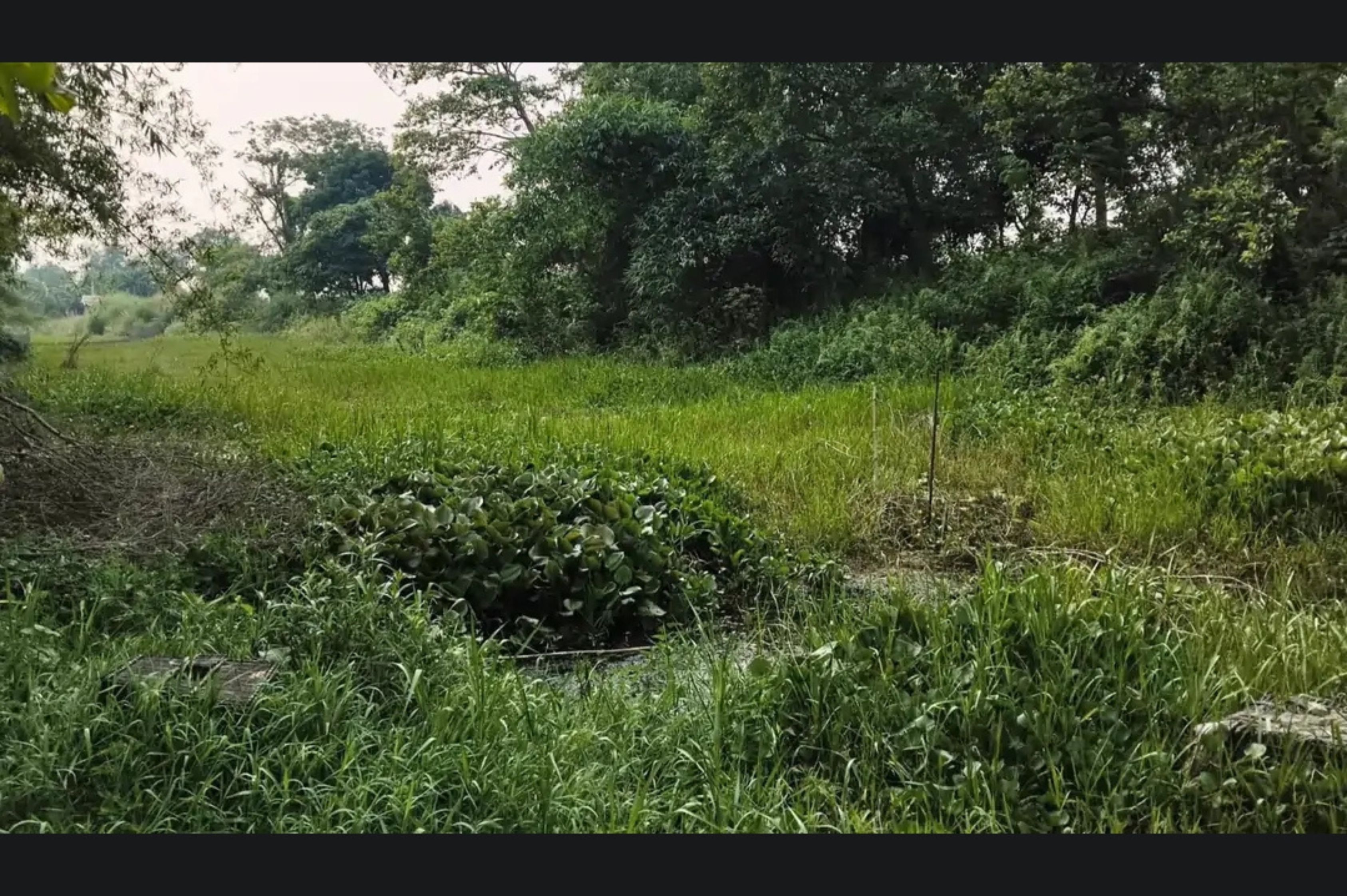 Navjeevan Abhiyan launched to save Kabar-Bagras Canal