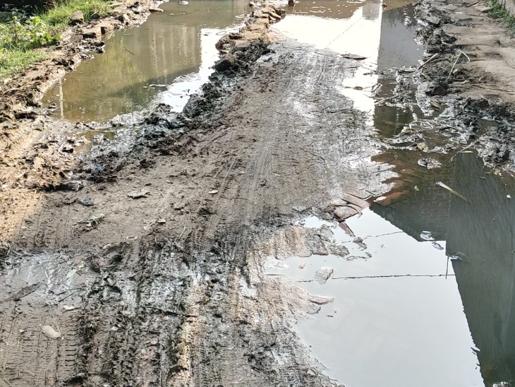 Aurangabad Mosquito Outbreak | Nagar Pramukh Assures Drainage Repair