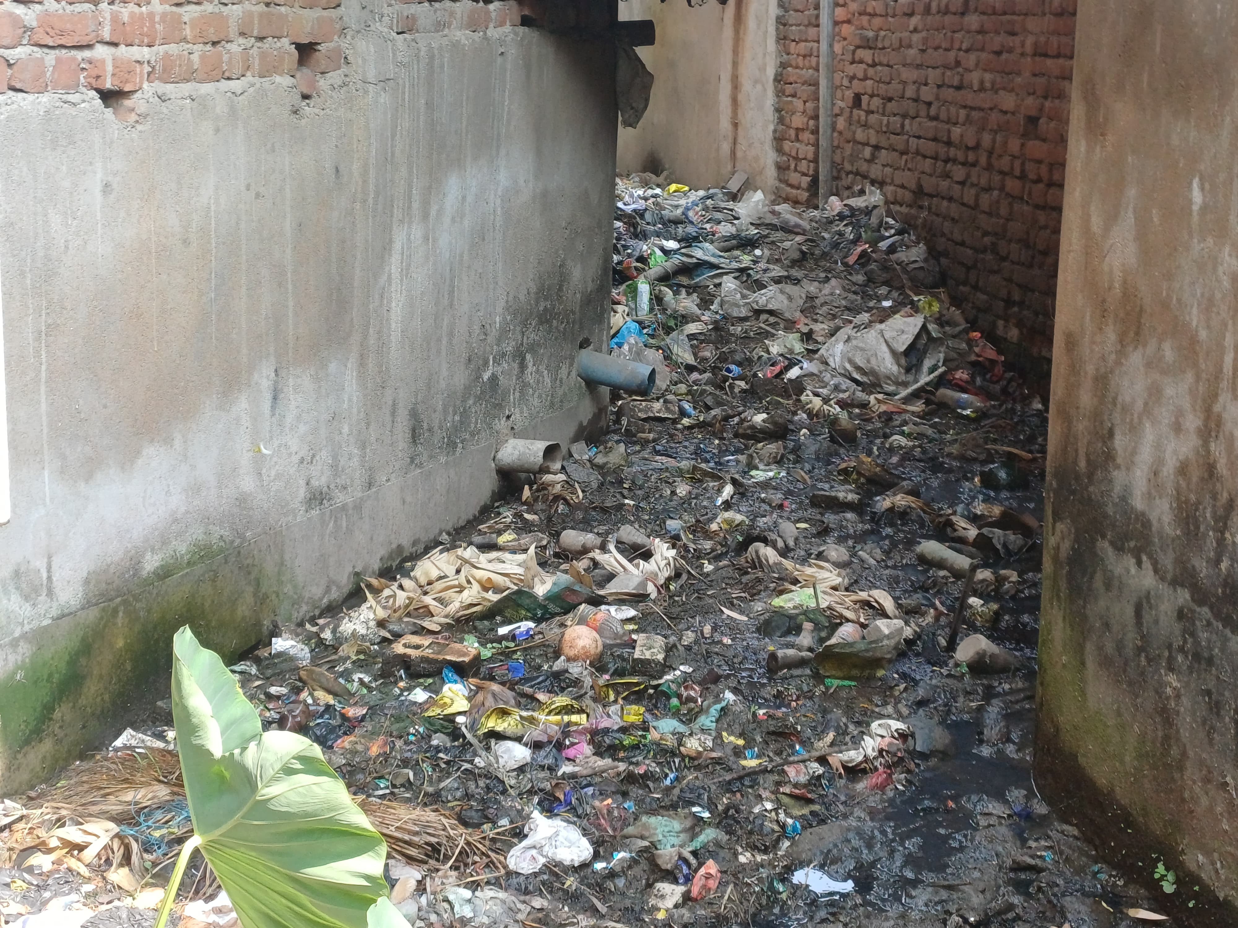 Pawadaramput Village Hygiene Woes | Waterlogging Crisis Demands Action