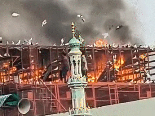 Bareilly Pigeons Burned Alive in Fire | Short Circuit Accident