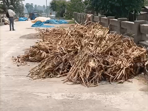 Bihar Bridge | No Approach Road Land Acquisition; Engineer Estimate Flaw