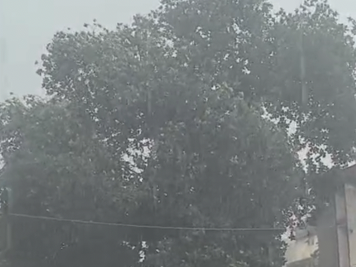 Bhagalpur Rain: Temperature Drops, Power Outage in Ekachari Area
