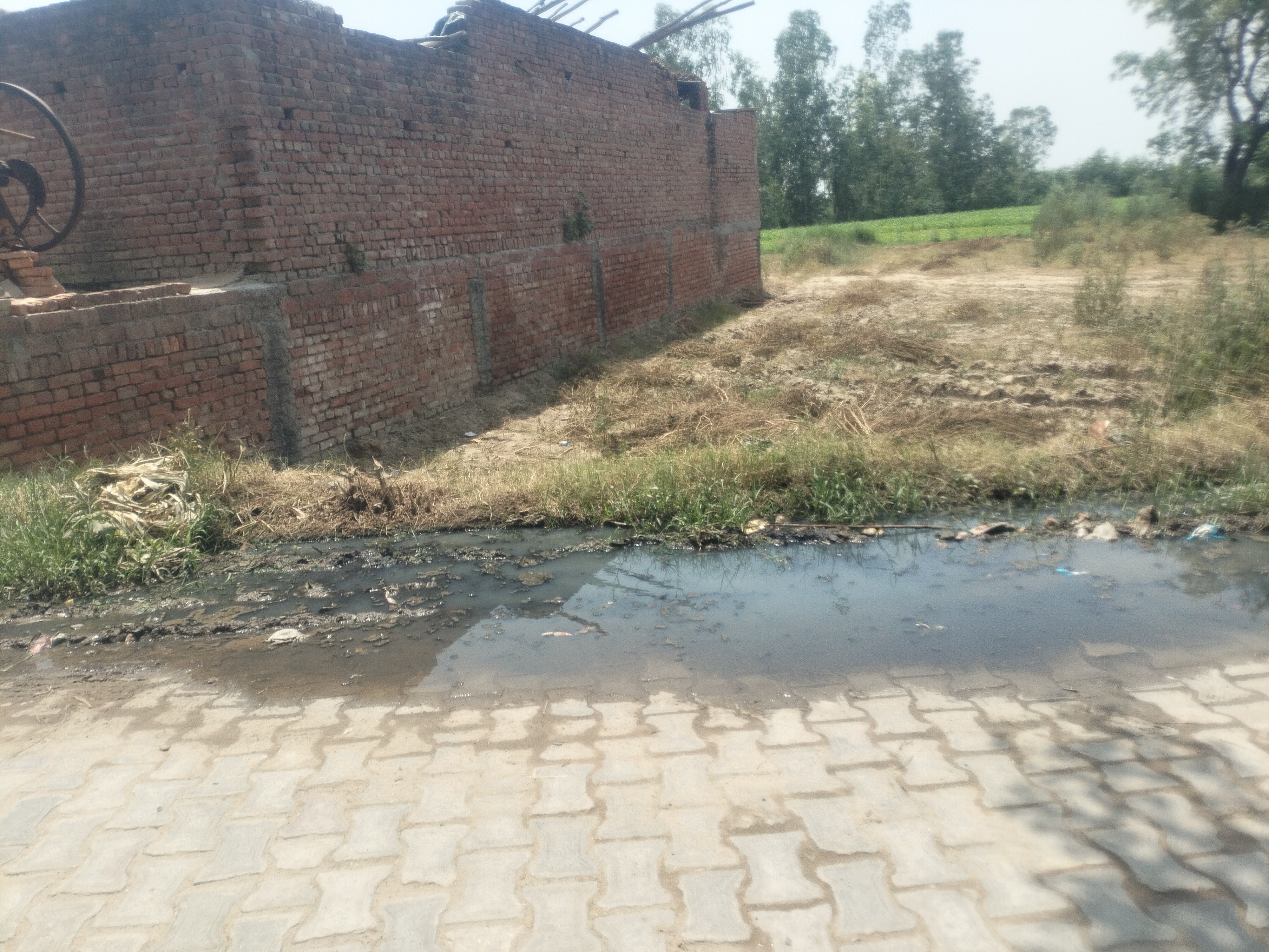 Kasganj Nagla Murali: Sanitation Woes Lead to Waterlogging & Stench