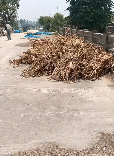 Bihar Bridge | No Approach Road Land Acquisition; Engineer Estimate Flaw