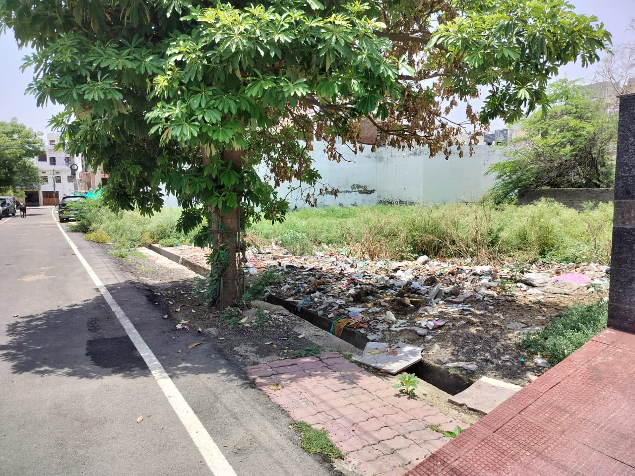 Empty plots in Bapu Nagar I Sector have become garbage dumps, anger ...