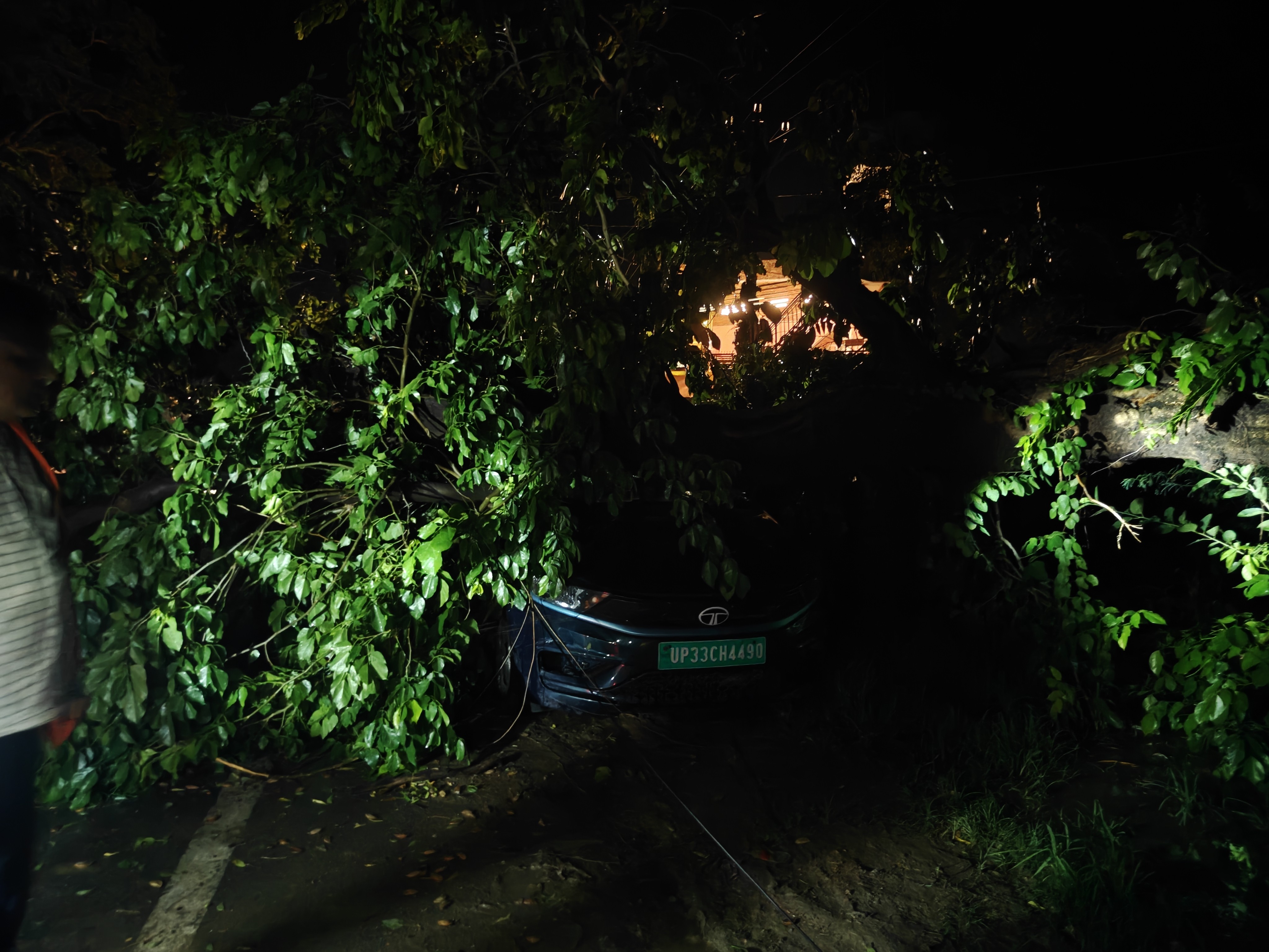 Lalganj Storm: Trees, Poles Fall; Life, Supply Disrupted