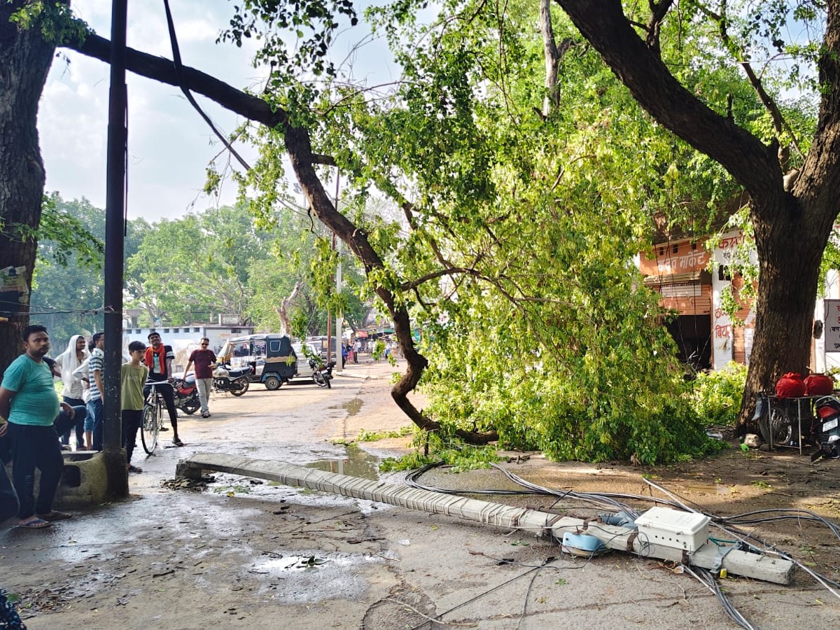 Mahoba Tree Fall Power Pole Damage Transformer | Charkhari Storm