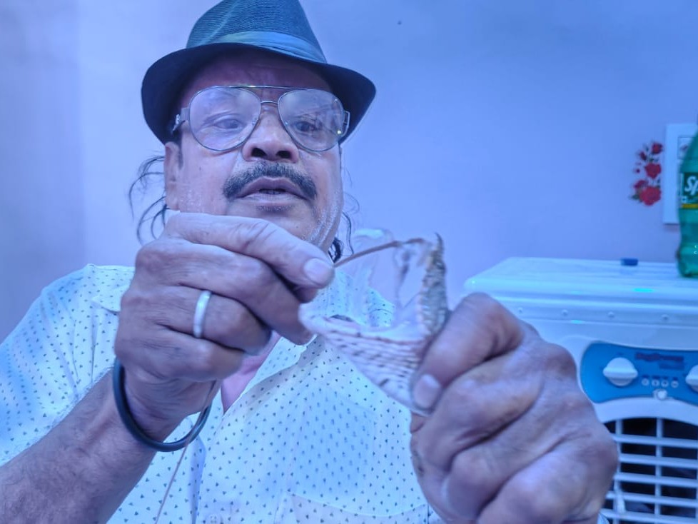 Russell Viper Snake Rescue in Sagar | 3ft Venomous Serpent Found Under Sofa