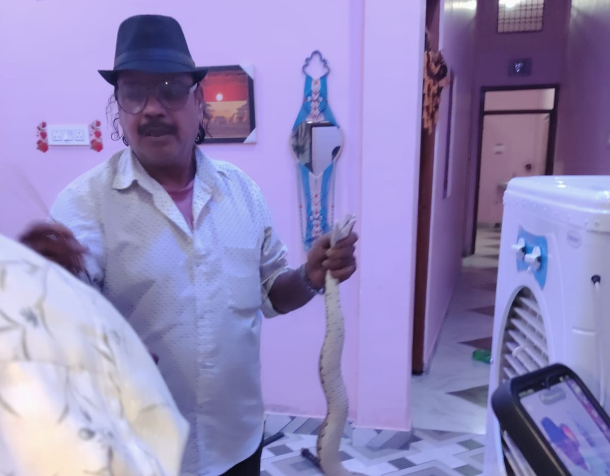 Russell Viper Snake Rescue in Sagar | 3ft Venomous Serpent Found Under Sofa