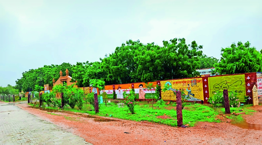 600 plants are flourishing due to the hard work of the teacher in ...