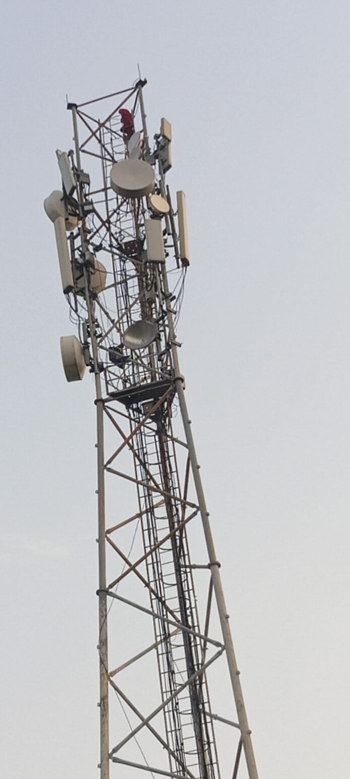 High-voltage drama: Girlfriend climbs mobile tower demanding to call ...