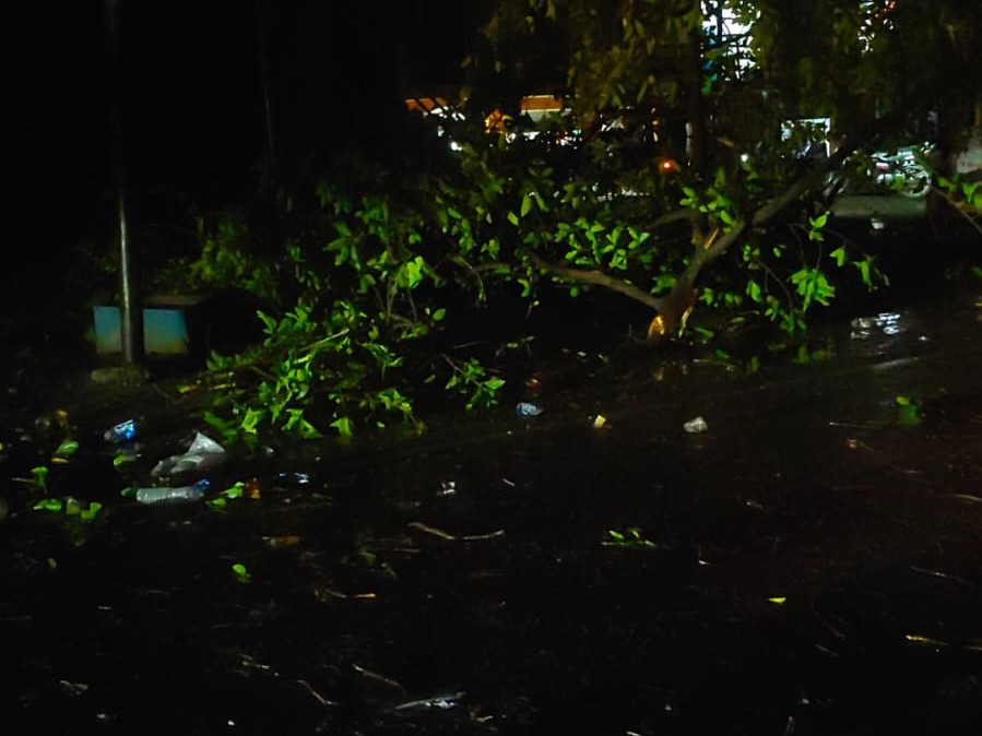 Fetehpur Trees Poles Fall | Traffic Disrupted Lihai Market