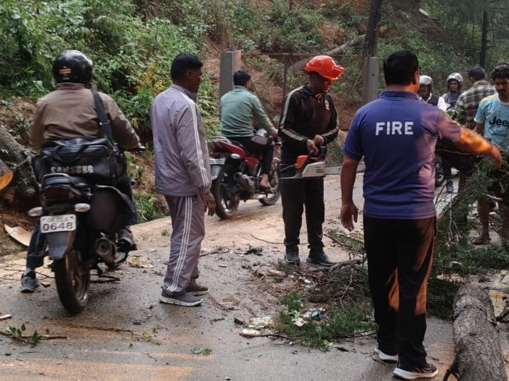 Champawat Fire Service Clears Road | Two Giant Trees Fall