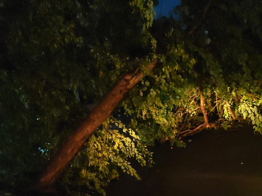 Fetehpur Trees Poles Fall | Traffic Disrupted Lihai Market