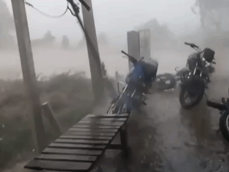 Pratapgarh Storm: Trees, Poles Down | Traffic, Power Disrupted