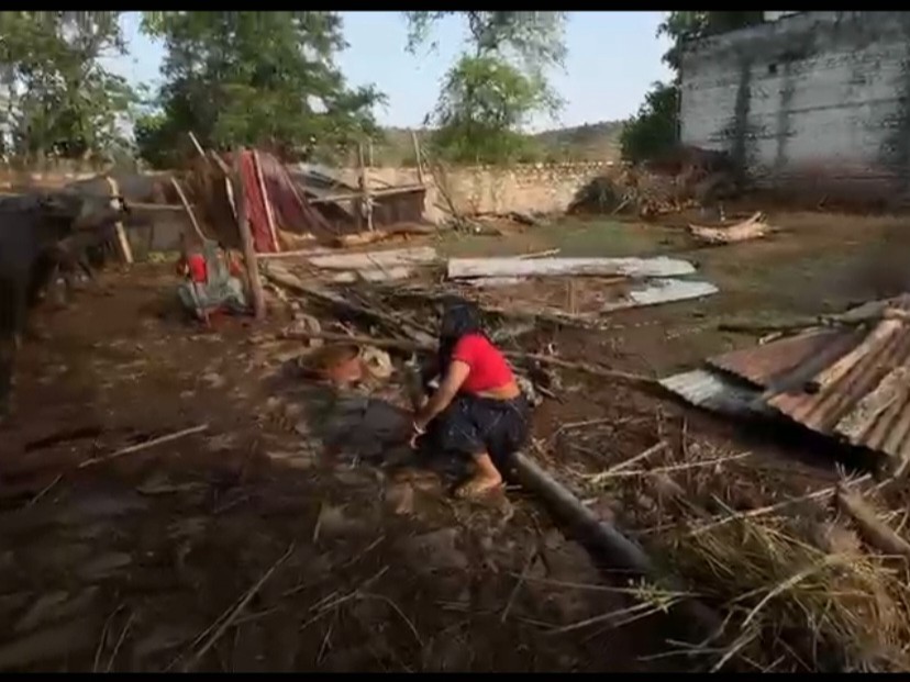Kailaras Storm Damage | Trees Uprooted, Tin Sheds Blown Away, Walls ...